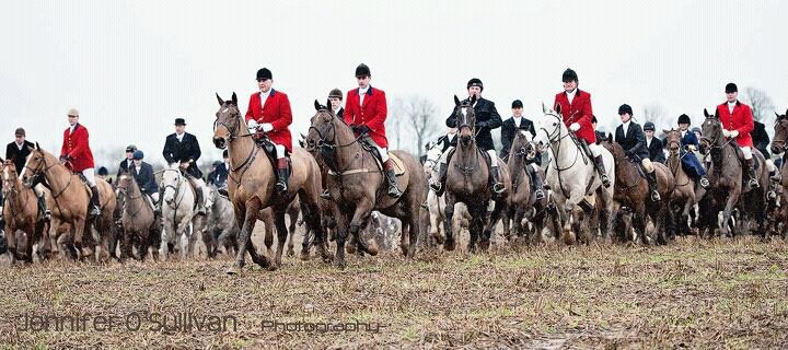 Meath Hunt - Its Plain Sailing Online Payments page events